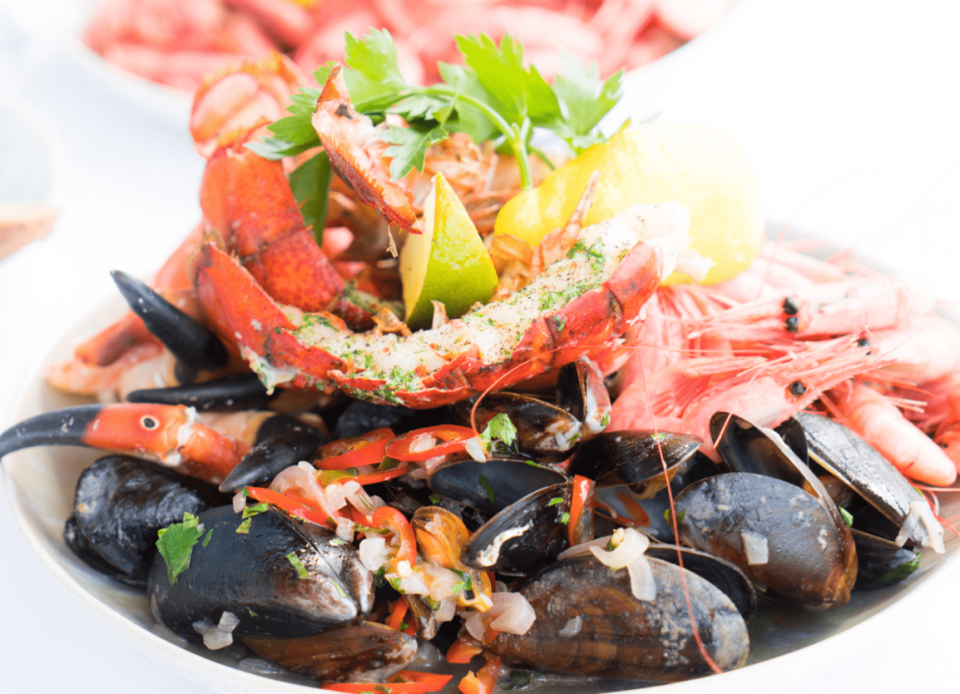 Home About Menu Recipes Franchise News Contact